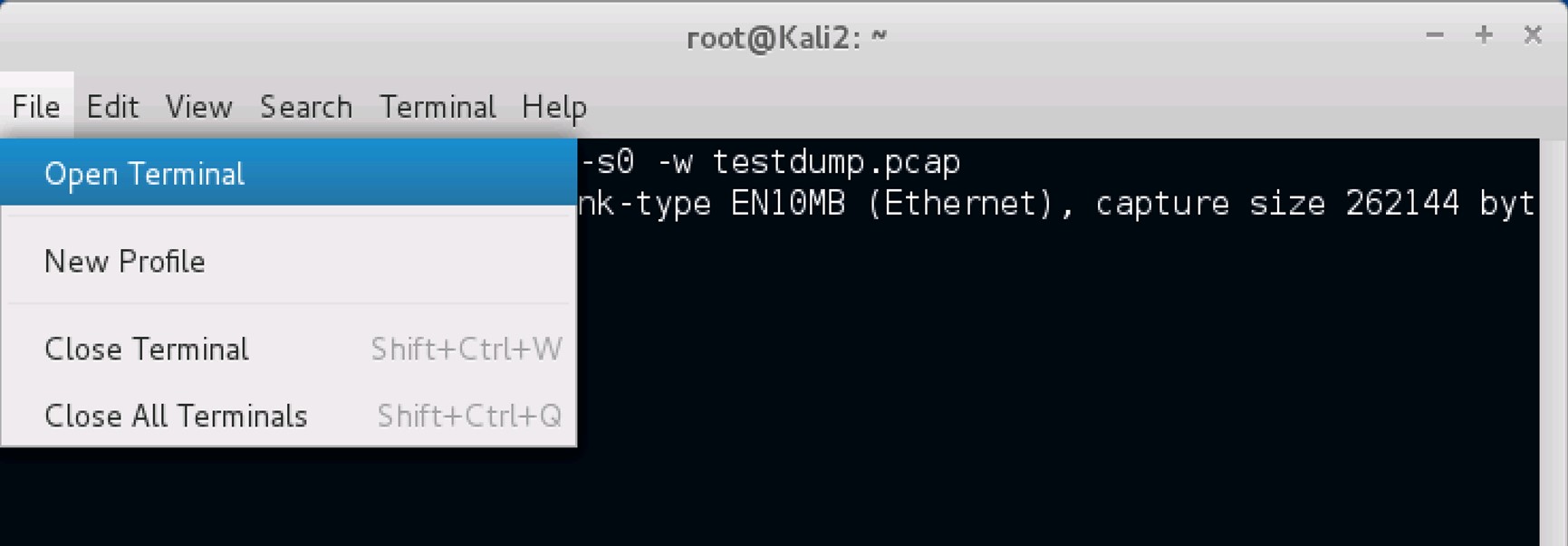 Cybersecurity Project